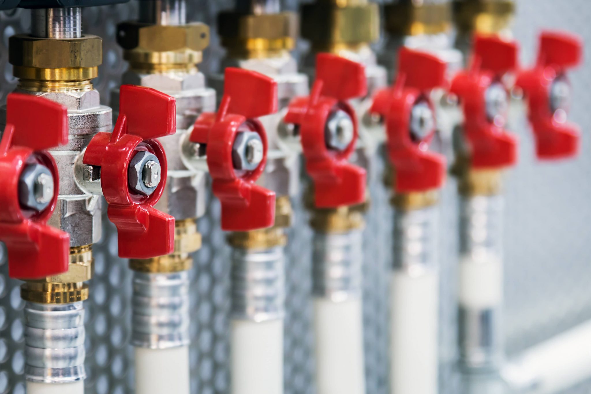 Product Packages – Bhatia Brothers